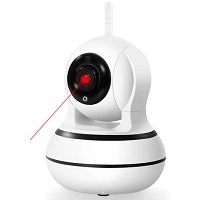 Best 6 Interactive Dog Cameras To Choose From In 2021 Reviews
