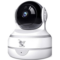 Best 6 Two-Way Pet Cameras For Monitoring In 2020 Reviews