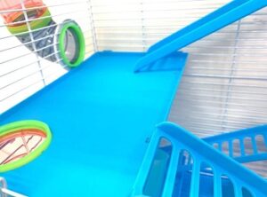 Best 6 Rat Cages For 2 Rats In 2022 - Petovly