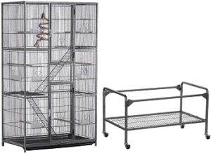 Best 6 Rat Cages For 2 Rats In 2022 - Petovly