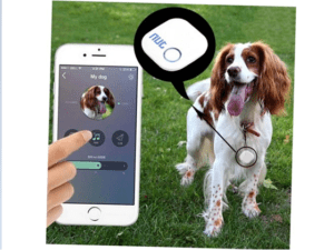 Best 6 Pet Tracker Microchip Implant To Choose In 2021 Reviews