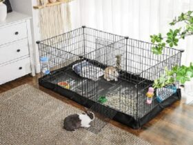 Best 6 Hedgehog Pet Habitat Cages For Sale In 2020 Reviews
