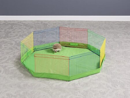 Best 12 Hedgehog Enclosures (Habitats): All Sizes & Materials