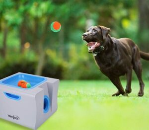 Best 5 Automatic Ball Launchers For Large Dogs - Reviewed