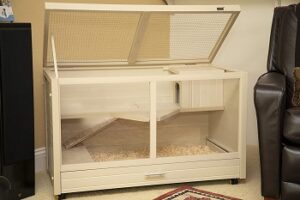 How Big Should A Dwarf Hamster Cage Be? Shape & Dimensions