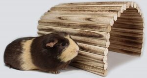 Best 6 Guinea Pig Hide-Houses & Hideaways For Cages Reviewed