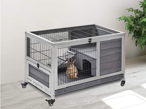 Best 5 Wooden Hedgehog Cages To Choose From In 2022 Reviews