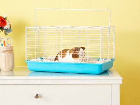Best 4 Pink Guinea Pig Cages & Hutches To Buy In 2020 Reviews