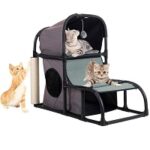Top 5 Plastic Cat Trees & Tower Furniture To Purchase In 2021