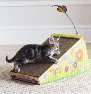 Best 6 Angled/Incline Cat Scratchers Suitable For All Cats