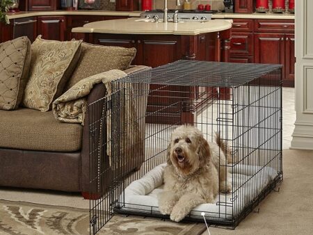 Best 6 Dog Crate For Labrador Breed From Puppy To Old Ages