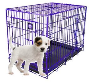 Best 4 Purple Dog Crates Puppy And Adult Dogs Seem Sweet In