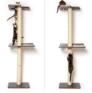 Top 6 Narrow/Skinny/Slim Cat Tree To Take In 2022 Reviews