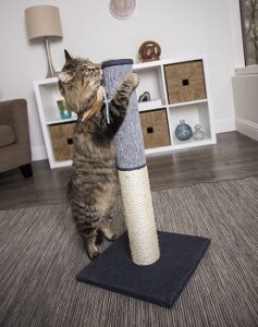 Top 6 Carpet Covered Cat Scratching Posts (Flat & Stand) 2022
