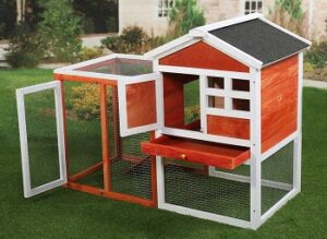 Best 6 Flemish Giant Cage & Hutch Indoor & Outdoor Models