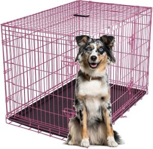 Best 5 Large Pink Dog Crates Looking Cute In Your Home 2022