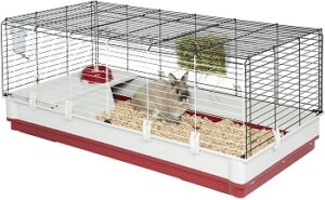 Best 6 Netherland Dwarf Bunny Rabbit Cages Indoor Or Outdoor