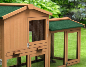 Best 6 Flemish Giant Cage & Hutch Indoor & Outdoor Models