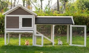 Best 6 Flemish Giant Cage & Hutch Indoor & Outdoor Models