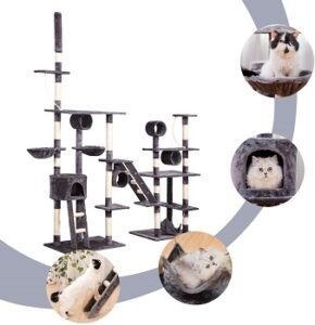 Top 6 Crazy Cat Trees, Tower & Furniture For Extra Active Cat