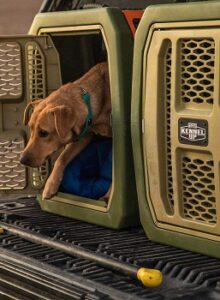 Top 3 Hunting Dog Crates For Trucks To Drive Your Pet Easily