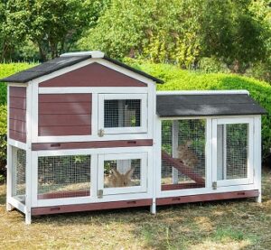 Best 6 Outdoor Insulated Rabbit Hutches For Winter & Summer