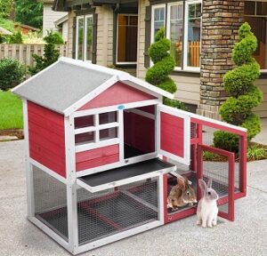 Best 6 Outdoor Insulated Rabbit Hutches For Winter & Summer
