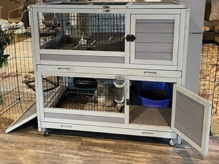 Best 6 Multi Level Rabbit Cages For One Or More Bunnies 2021