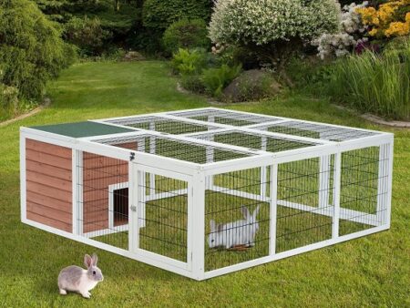 Best 6 Outdoor Insulated Rabbit Hutches For Winter & Summer
