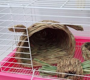 Best 6 Bunny (Rabbit) Hidey Houses In Large & Small Sizes