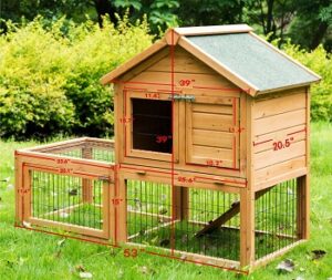 6 Best 2 Rabbit Hutches Big And Comfortable Enough For Two