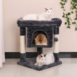 Best 6 Cat Trees For Older (Senior) Cats To Buy 2022 Reviews