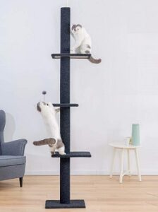 Top 6 Cat Climbing Structures For Outdoor & Indoor Pets 2022