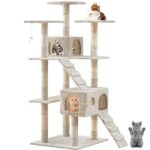 Top 6 Cat Climbing Structures For Outdoor & Indoor Pets 2022