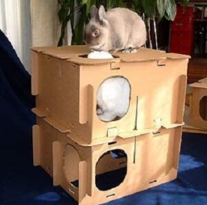 Best 4 Cardboard Bunny (Rabbit) Houses: Castle & Box Shapes