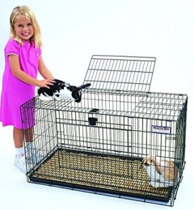 Top 6 Bunny (Rabbit) Travel And Transport Cages For Any Trip