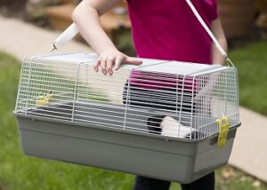 Top 6 Bunny (Rabbit) Travel And Transport Cages For Any Trip