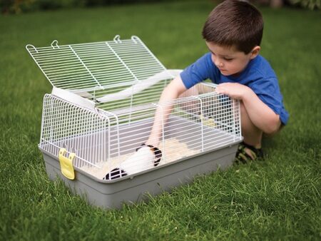 Best 6 Rabbit Cage Stand Included Models Of Various Sizes