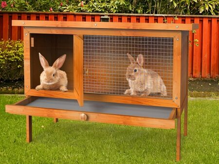 Best 6 Bunny (Rabbit) Hidey Houses In Large & Small Sizes