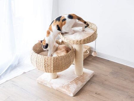 Top 6 Aesthetic Cat Trees Contributing Your Home Design 2021