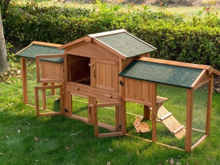 Winter Rabbit Hutch: What Your Pet Needs During Cold Weather?