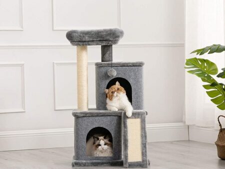 Best 6 Wooden Cat Trees With No Carpet To Buy In 2021 Reviews