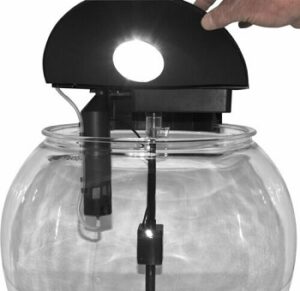 5 Best 15-gallon Aquarium (Fish Tank) Kits For Any Budget