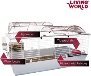 Best 12 Hedgehog Enclosures (Habitats): All Sizes & Materials