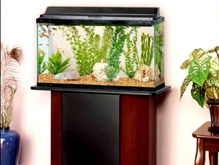 3 Best 35-gallon Hexagon Fish Tank To Purchase 2021 Reviews
