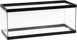 6 Best 20-gallon Breeder Tanks For Various Fish Species 2022