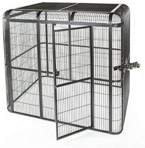 Best 6 Outdoor Bird Aviary Kits: All That You Need In One