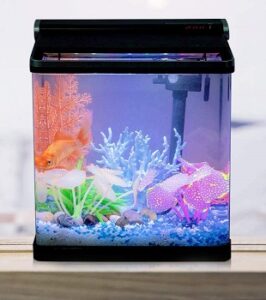 5 Top 4-gallon Aquarium (Fish Tank) For Any Interior Reviews