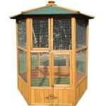 Best 6 Outdoor Bird Aviary Kits: All That You Need In One