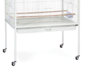 Best 6 Indoor Finch Aviary You Can Use In Any Room Reviews